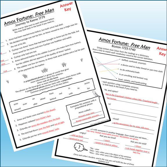 Amos Fortune: Free Man Novel Study | Made By Teachers
