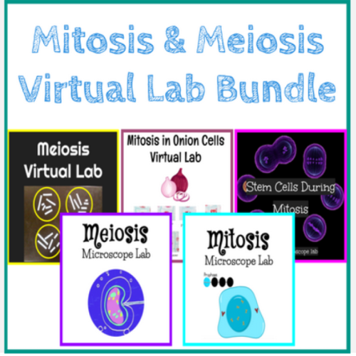 Mitosis and Meiosis VIRTUAL LAB Bundle Pack (5 Labs) | Made By Teachers