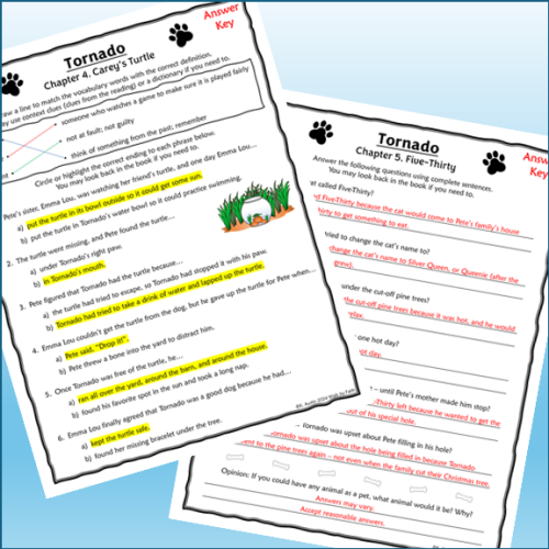 Tornado Novel Study - Made By Teachers