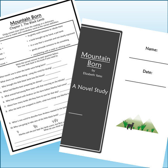 Elizabeth Yates Novel Study Bundle | Made By Teachers