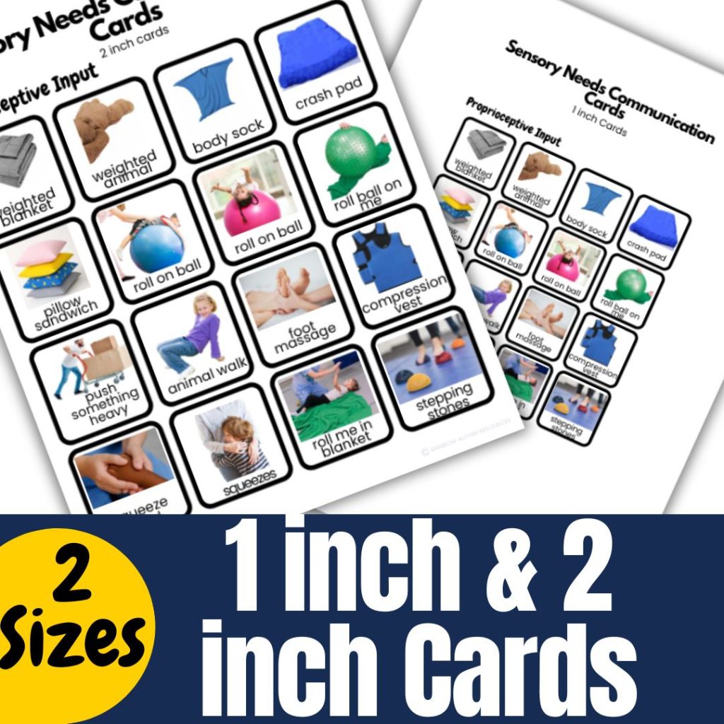 Sensory Needs Communication Bundle PECS Style Cards & Lanyard Cards ...