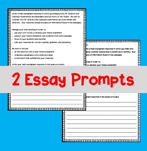 7th Grade ELA Practice State Test - Made By Teachers