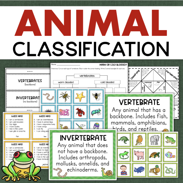 Vertebrates & Invertebrates Animal Classification | Made By Teachers