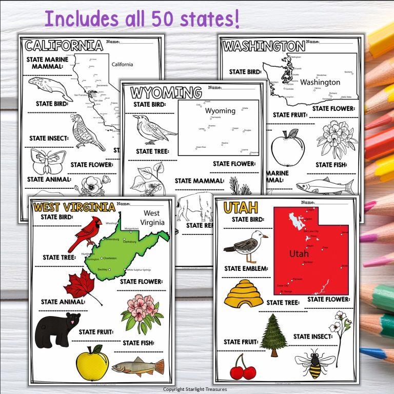 50 States Research Posters, Coloring Pages - US States Research Project ...