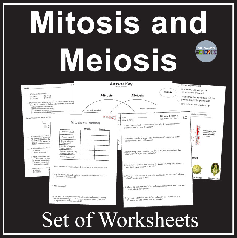 Scientific Method Task Cards Science Task Cards | Made By Teachers