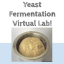 Yeast Fermentation VIRTUAL LAB Online Activity - Made By Teachers