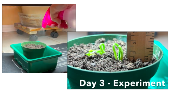 8.LS1.5 Factors That Influence Growth Video Activity | Made By Teachers
