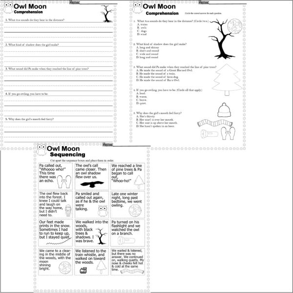 Owl Moon Reading Comprehension Quiz Tests & Story Scene Sequencing ...