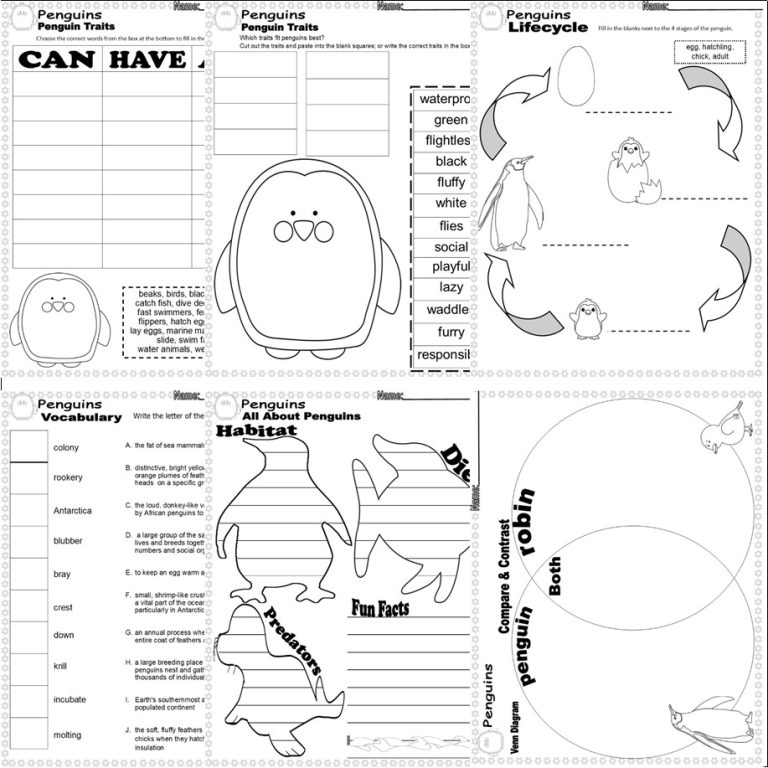 All About PENGUINS ELA Math Craft Activities Writing Vocabulary ...