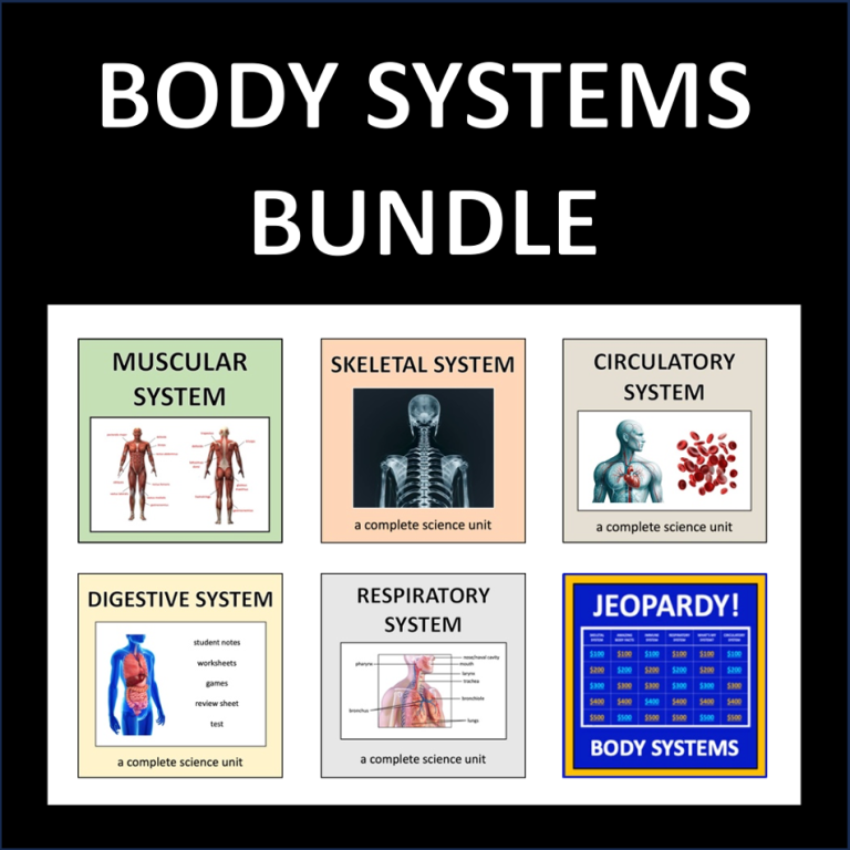 Body Systems Bundle - skeletal, muscular, digestive, circulatory, and ...