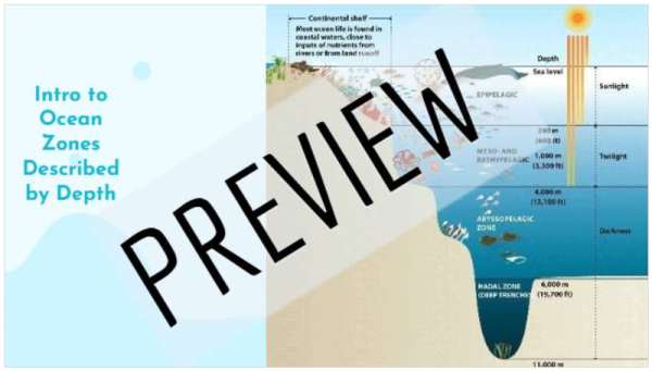 Marine Biology Ocean Zones Lesson Powerpoint Notetaker Activity ...