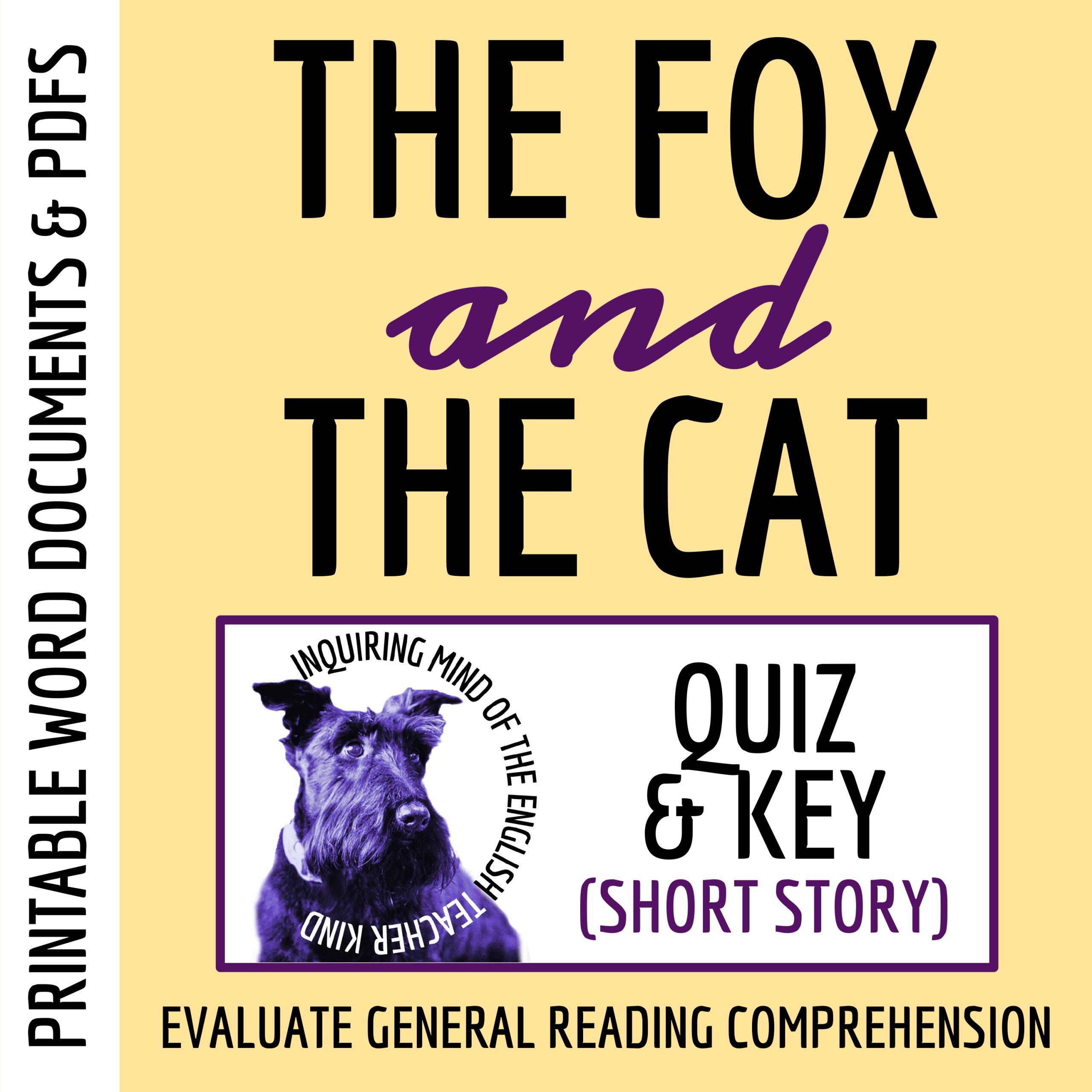 The Great Gatsby Chapter 8 Literary Analysis Worksheet | American ...