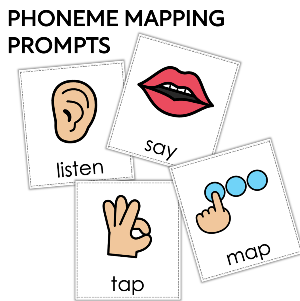 CVC Word Phoneme Blending Grapheme Mapping Cards Elkonin Boxes ...