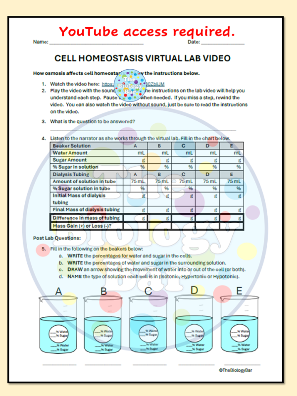 Osmosis Homeostasis Virtual Lab - Made By Teachers