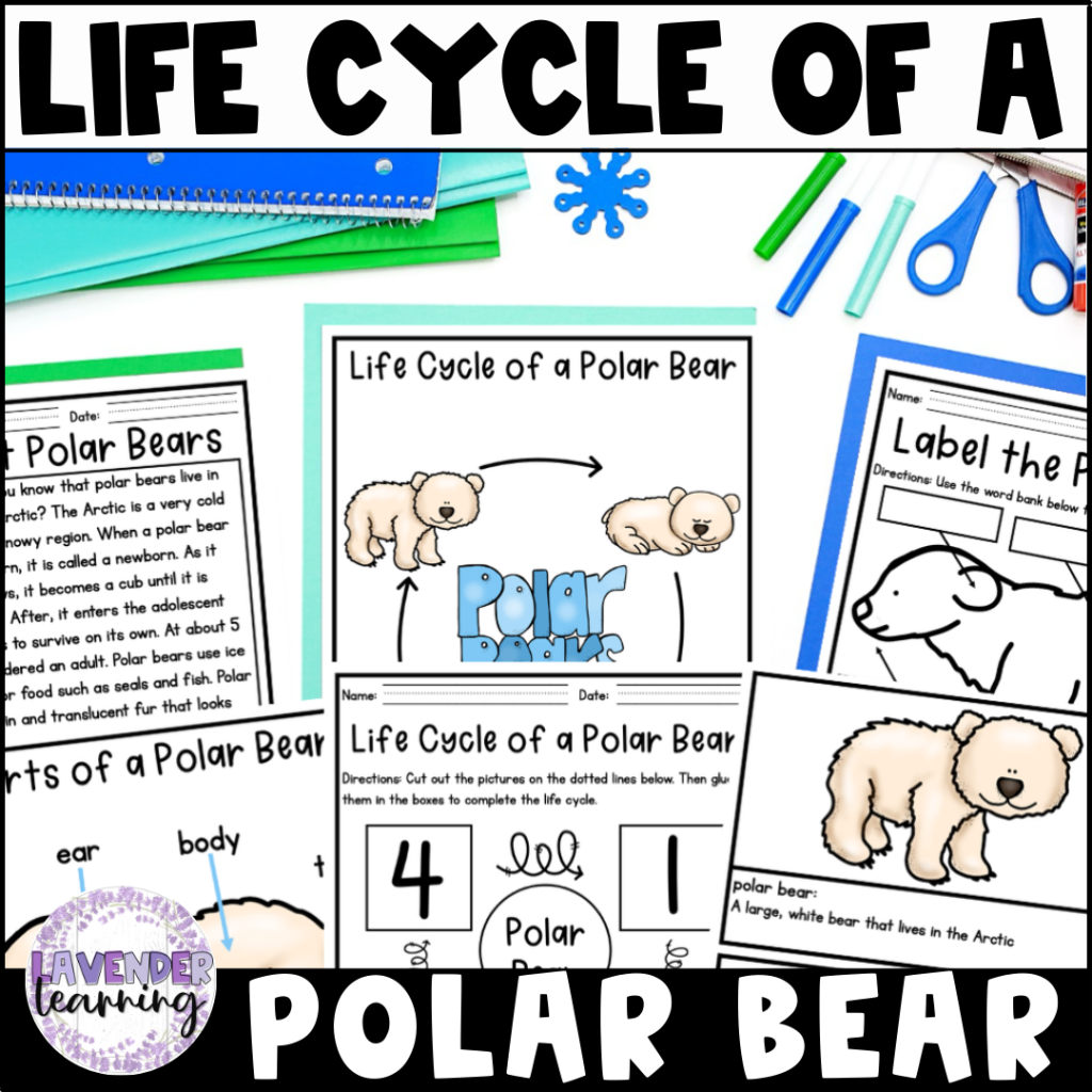 Life Cycle of a Polar Bear Activities, Worksheets, Book - Parts of a ...