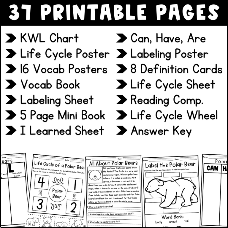 Life Cycle of a Polar Bear Activities, Worksheets, Book - Parts of a ...