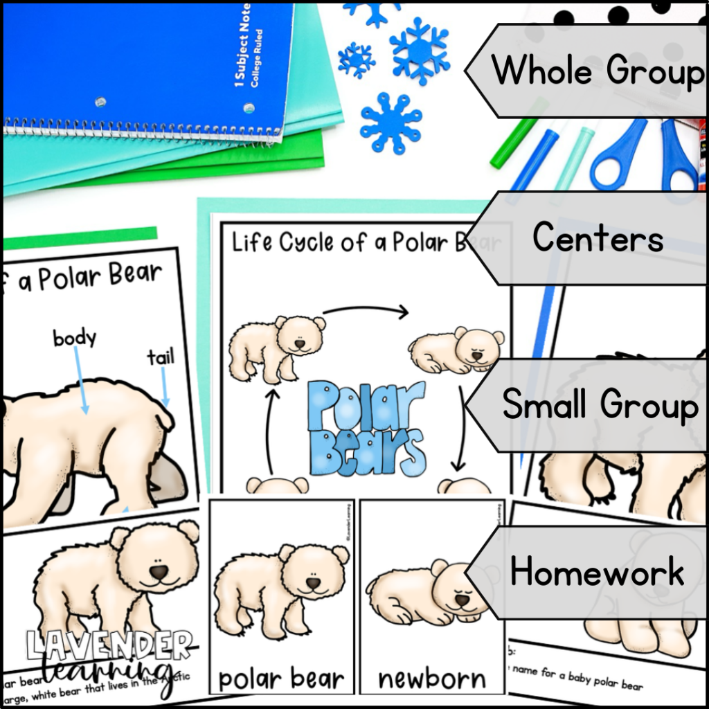 Life Cycle of a Polar Bear Activities, Worksheets, Book - Parts of a ...