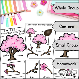 Life Cycle of a Cherry Blossom Tree Activities, Worksheets, Booklet ...