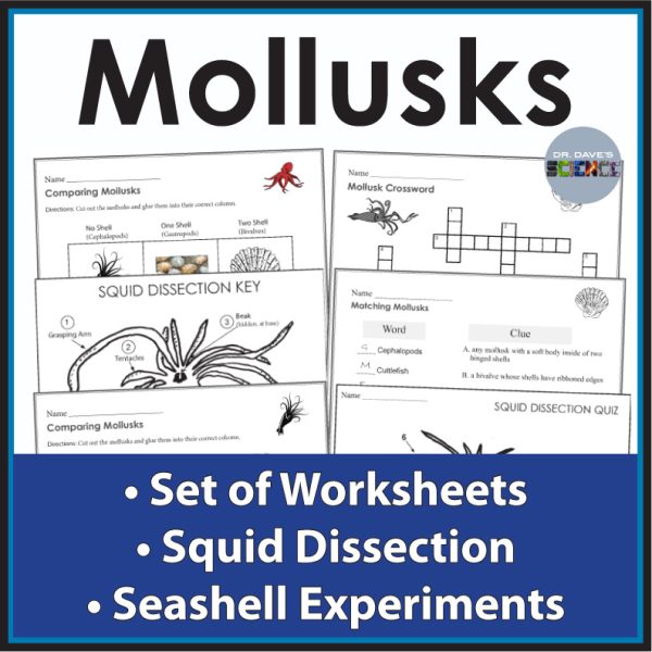 Mollusks Worksheets Squid Dissection Key Activity Bundle Marine Science ...