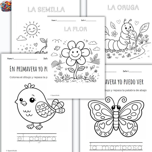 Spanish Spring Worksheet| Primavera Vocabulary Activities for Grades 1 ...
