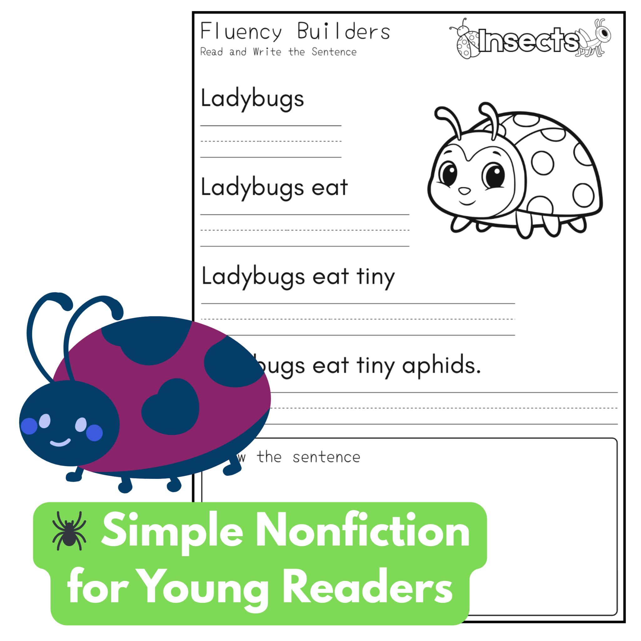 Insect Themed Sentence Pyramid Worksheets | Insect Fluency Builders ...