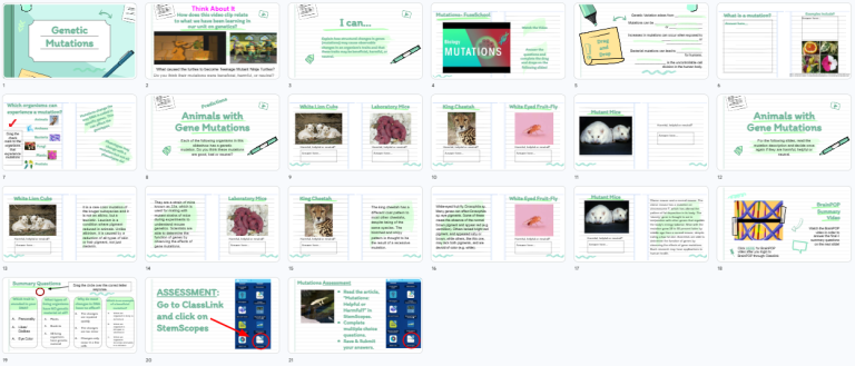 Genetic Mutations Digital Notebook - Made By Teachers
