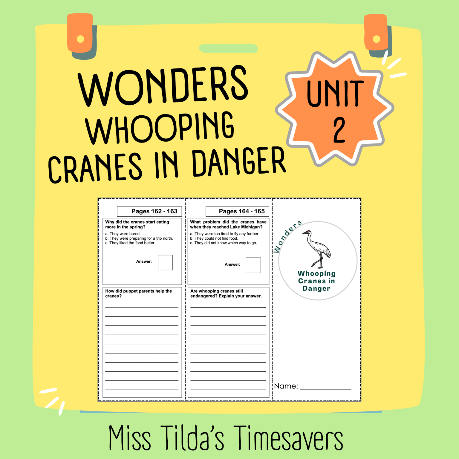 Whooping Cranes in Danger - Grade 3 Wonders | Made By Teachers