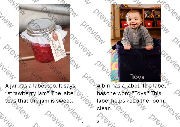 Guided Reading Level H - Reading Labels and Names | Made By Teachers