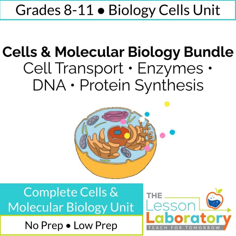 Cells & Molecular Biology Bundle | Cell Transport, Enzymes, DNA ...