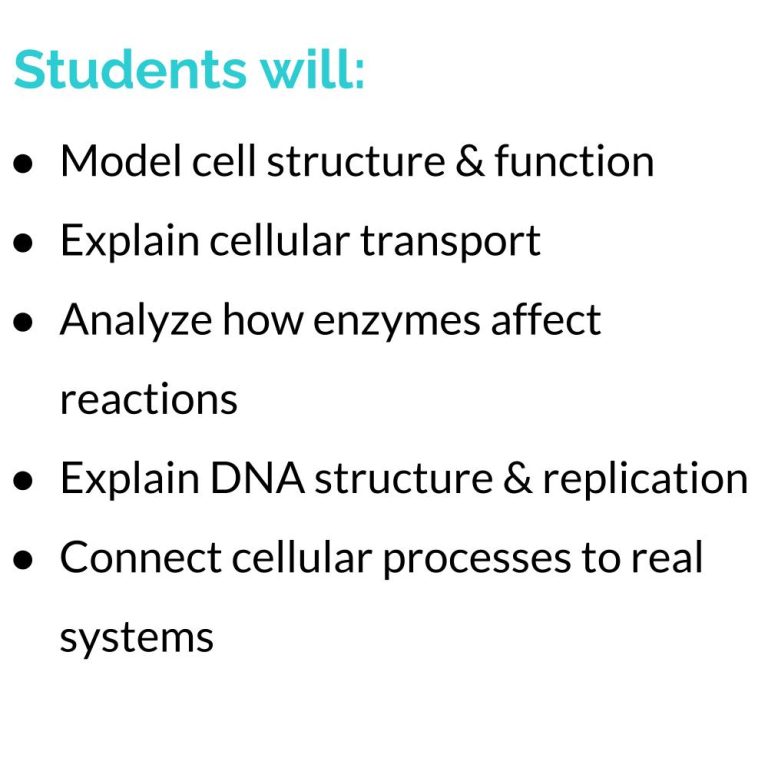 Cells & Molecular Biology Bundle | Cell Transport, Enzymes, DNA ...