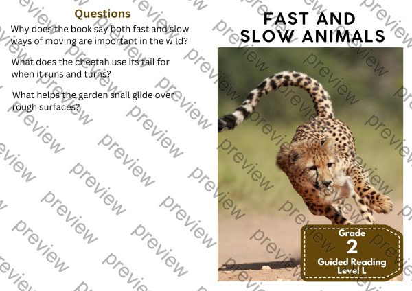 Guided Reading Level L - Fast and Slow Animals (with Lesson Plan ...