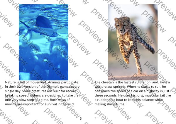 Guided Reading Level L - Fast and Slow Animals (with Lesson Plan ...