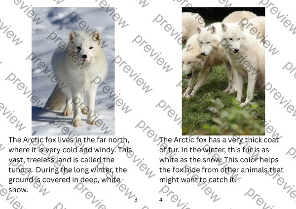 Guided Reading Level L - The Arctic Fox (with Lesson Plan) | Made By ...