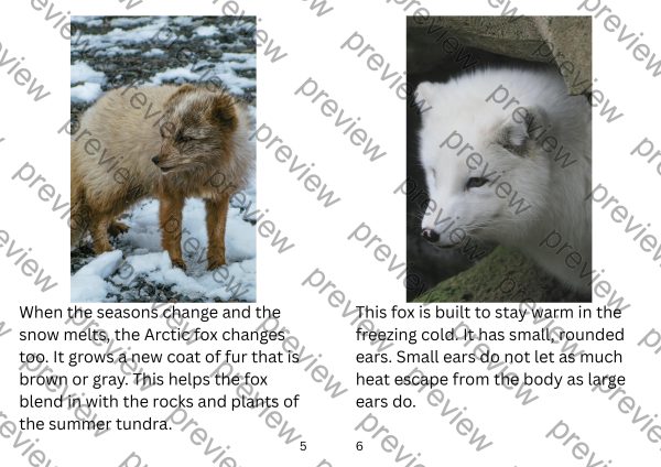 Guided Reading Level L - The Arctic Fox (with Lesson Plan) | Made By ...