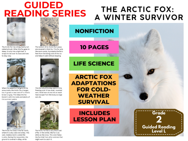 Guided Reading Level L - The Arctic Fox (with Lesson Plan) | Made By ...
