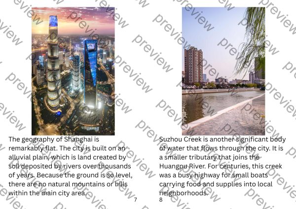 Guided Reading Level M - Shanghai (with Lesson Plan) | Made By Teachers