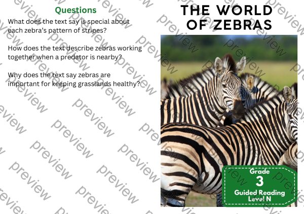 Guided Reading Level N - World of Zebras (with Lesson Plan) | Made By ...