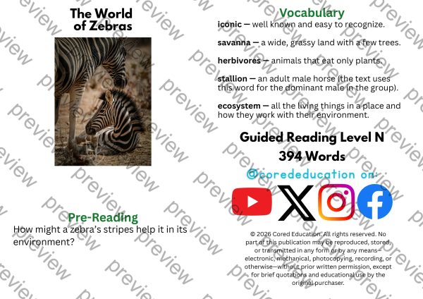 Guided Reading Level N - World of Zebras (with Lesson Plan) | Made By ...