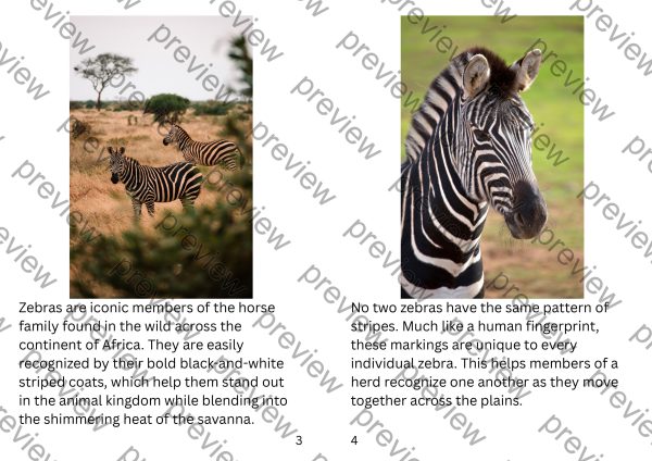Guided Reading Level N - World of Zebras (with Lesson Plan) | Made By ...