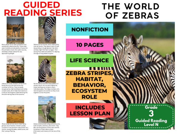 Guided Reading Level N - World of Zebras (with Lesson Plan) | Made By ...