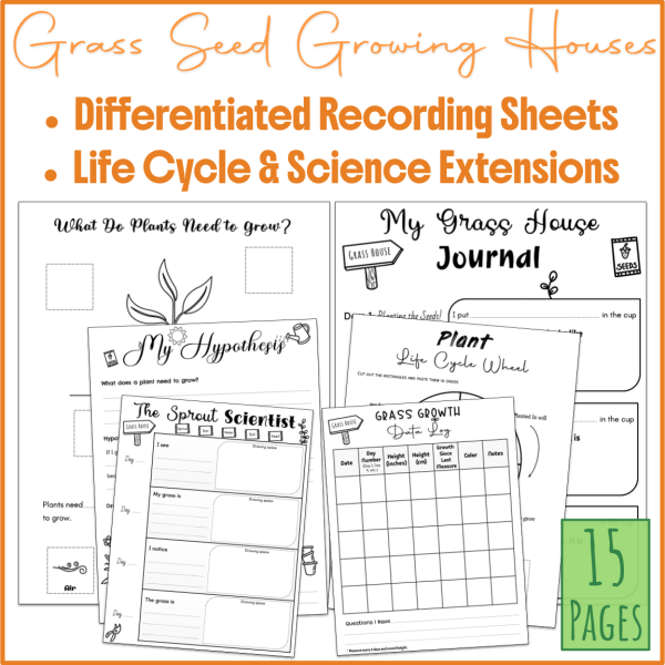 Grass Seed Growing houses Spring Plant Life Cycle Worksheets Craft Cut ...