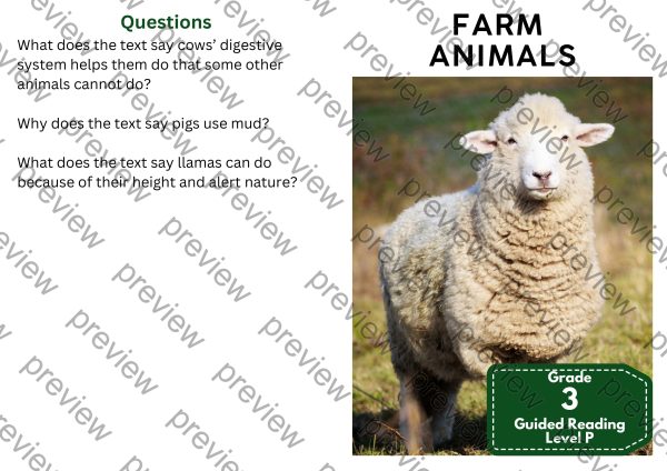 Farm Animals: Guided Reading Level P with Lesson Plan - Made By Teachers