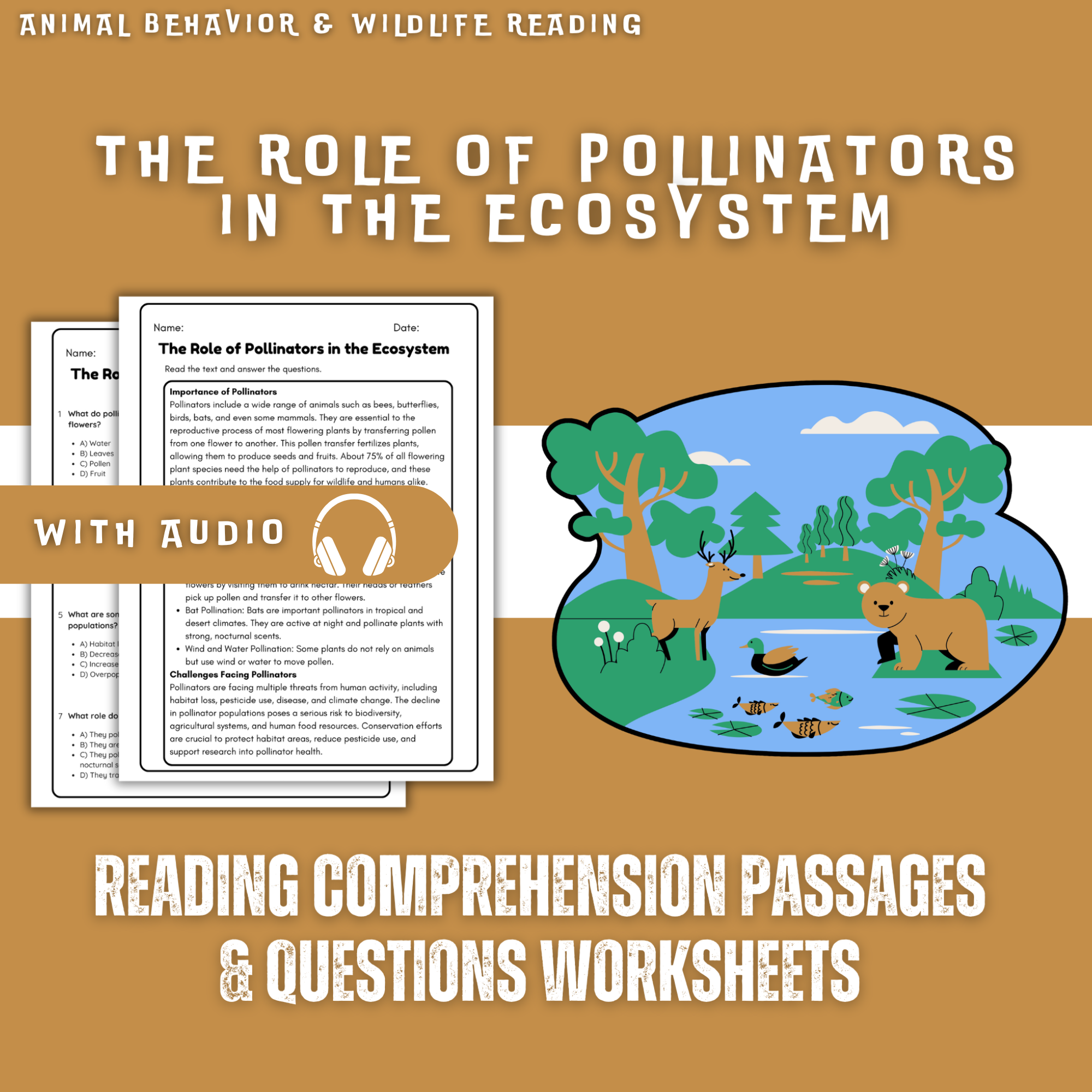 Rights and Responsibilities of Citizens Reading Comprehension Worksheet ...
